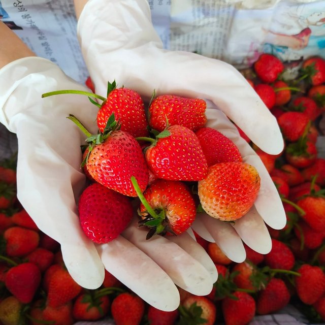 STRAWBERRY.CM | LINE SHOPPING