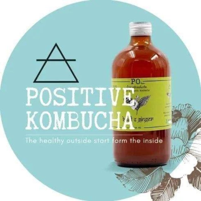 Po+Kombucha Official | LINE SHOPPING