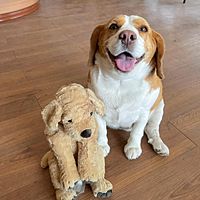 Mootoo | LINE SHOPPING