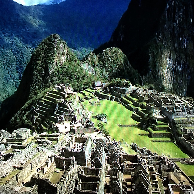 Toshi Tajima (@toshi.ajima) | TikTok